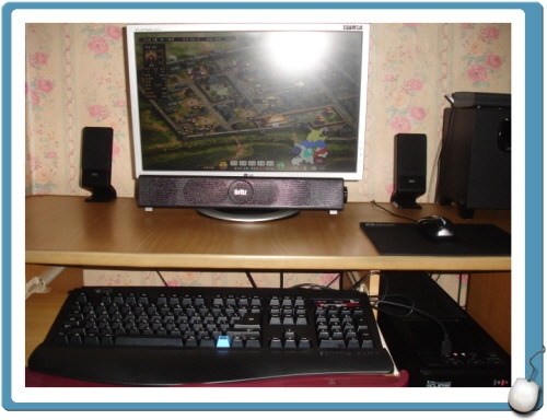 Bless ZIO DT35 USB 블랙 게이밍 키보드 (손목받침대 포함) 체험단 후기 : 다나와 DPG는 내맘을 디피지